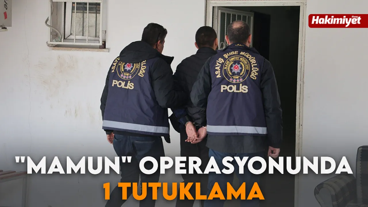 'Mamun' Operasyonunda 1 Tutuklama